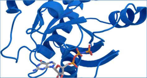 High Prevalence Of Mutant Kras In Circulating Exosome Derived Dna