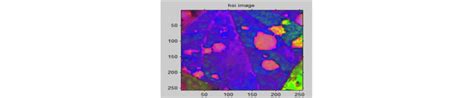 hsi image k means clustering algorithm this algorithm is used to