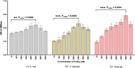 Extracellular Fe²⁺ Increases The Biofilm Formation Of E Coli E Download Scientific Diagram