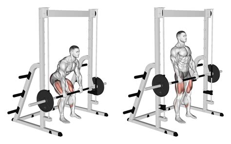 Rack Pull Lower Back And Posterior Chain Power Builder