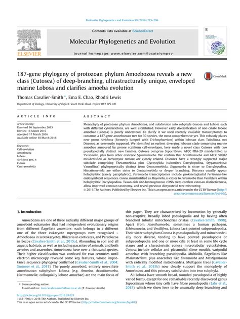 Pdf 187 Gene Phylogeny Of Protozoan Phylum Amoebozoa Reveals A New