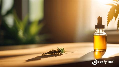 How To Make Your Own Cannabis Tincture A Step By Step Guide Leafy Doc