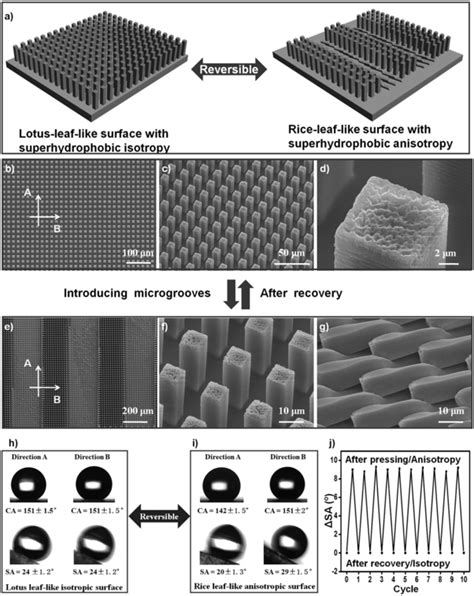 A Schematic Illustration Of The Surface Microstructure Variation