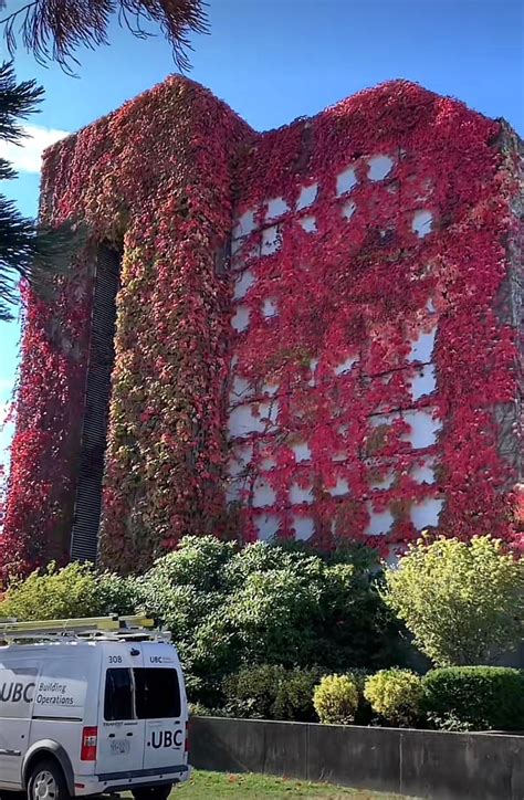 Does Anyone Know Which Building This Is R Ubc