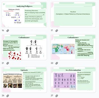 Complex Inheritance And Human Heredity Unit Student Notes Google Slides