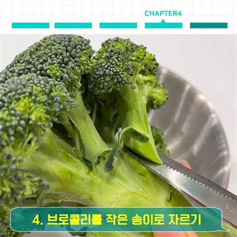 이렇게 브로콜리 씻게 되면 ‘벌레 그대로 먹게 되는겁니다” 네이트뷰