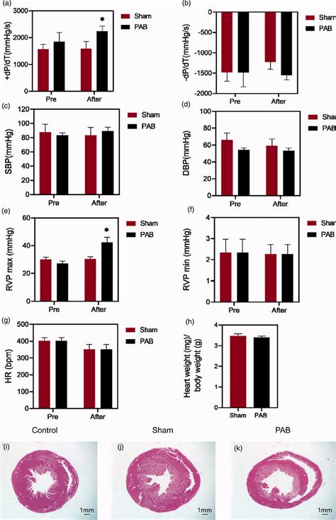 Functional Characterizations Of The Pab Model A Dpdt B −dpdt