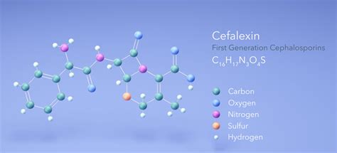 รูปภาพb Lactam เลือกดูภาพถ่ายสต็อก เวกเตอร์ และวิดีโอ592 Adobe Stock