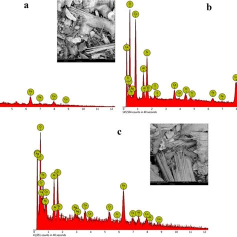 Sem Micrographs And Semi Quantitative Analysis By Energy Dispersive Download Scientific Diagram