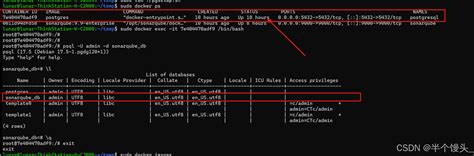 ubuntu使用docker搭建sonarqube企业版（含破解方法） ew帮帮网
