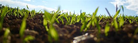 Vegetation Indices To Meet Challenges Of Agri Market