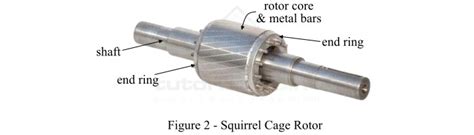 3 Phase Squirrel Cage Induction Motor Circuit Diagram Wiring Diagram
