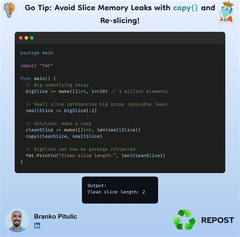 Go Golang Memorymanagement Codingtips Softwareengineering Gophers Branko Pitulic 12