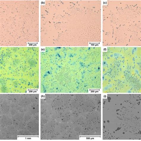Metallography Of Cast Cake Cc5 A C Polished Sample Lom D F Klemm2