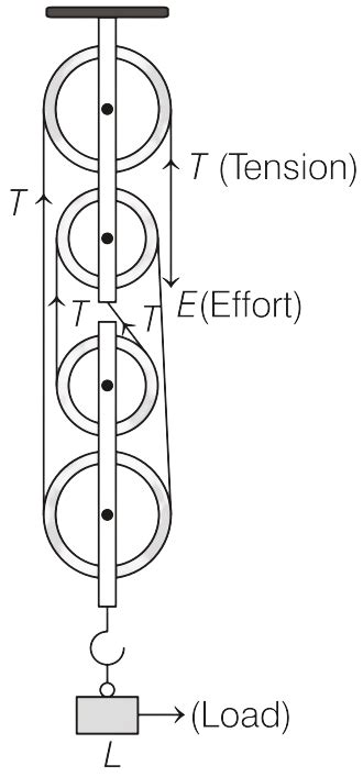 A Draw A Diagram Of A Pulley System Of Velocity Ratio 4 KnowledgeBoat