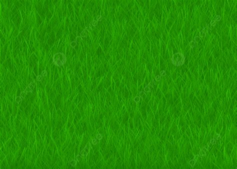 Realistic Grass Vector Background Vector Grass Background Green Lawn Grass Wallpaper Grass