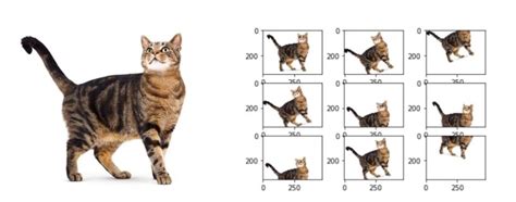 Preprocessing Techniques For Annotated Data Ultralytics Yolo Docs ️‍🔥