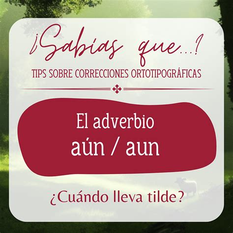 Tips De Escritura Aún Aun ¿cuándo Lleva Tilde