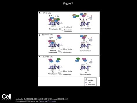 volume 32 issue 4 pages november 2008 ppt download