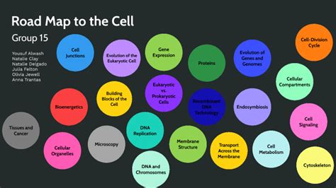 Road Map Of A Cell By Julia Felton On Prezi