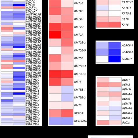 Expression Patterns Of Histone Related Transcripts Across The St And