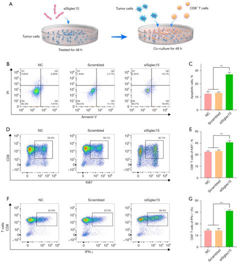 Siglec15 Facilitates The Progression Of Non Small Cell Lung Cancer And Is Correlated With Spinal