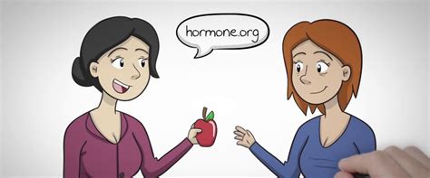 Understanding Hypoglycemia And Its Effects