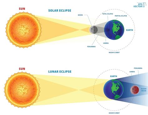 67 Chromosphere Eclipse Stock Vectors And Vector Art Shutterstock