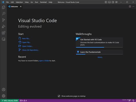 Vs Code 辅助openfoam代码调试（超详细）openfoam Vscode Csdn博客