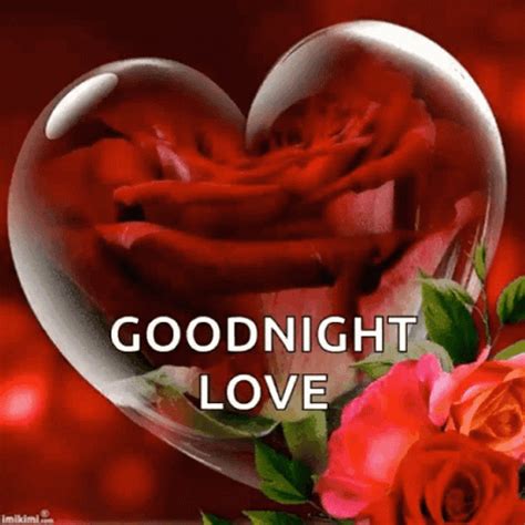 Love Good Night Sparkling Flowers 