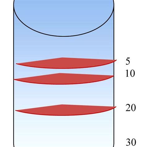 A Schematic Of The Soil Column Used In This Study Download