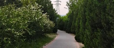最小后悔原则 知乎