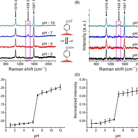 Raman Spectra Analysis Of Nanoprobes Under Several Ph Conditions