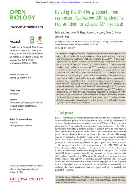 Pdf Deleting The If 1 Like ζ Subunit From Paracoccus Denitrificans Atp Synthase Is Not