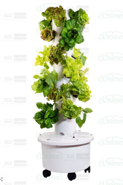 Hydroponic Systems In Israel