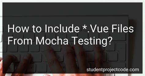 How To Include Vue Files From Mocha Testing In 2024