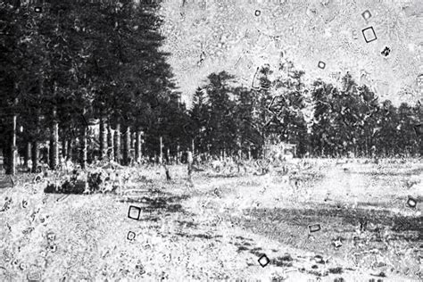 Harper Timbs Art Gallery Of Nsw