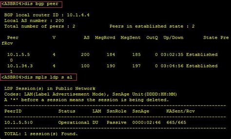 2、ce01发布111111和222222,远端pe2和ce06可以正常学习 2、ce01发布111111和222222,远端pe2和ce06可以正常学习