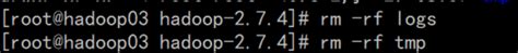 解决hadoop集群中（主，从）节点上无datanode的问题 hadoop集群从节点没有datanode csdn博客