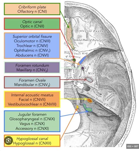 Scalp Block Technique Indications And Clinical Use The Anesthesia