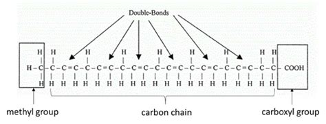 Structure Of Docosahexaenoic Acid 226n 3 Dha 226n 3 Contains 22