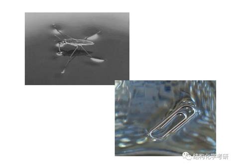 第十三章表面物理化学 中国科学技术大学中科大621和903物理化学考研专业课资料：本科生物理化学下册课件分享 知乎