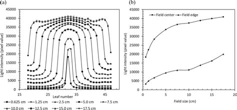 Field Size Dependency A Relationship Between The Irradiation Field Download Scientific Diagram