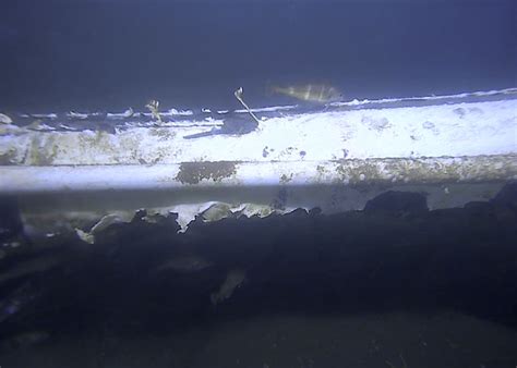 Subsea Pipeline Ovality Assessment And Dent Mapping Tsc Subsea