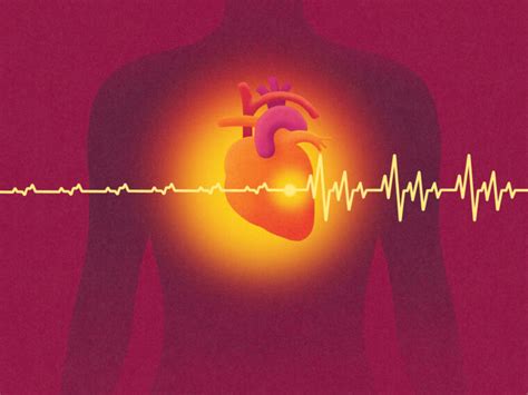 When To Worry About Low Heart Rate Bottom Line Inc