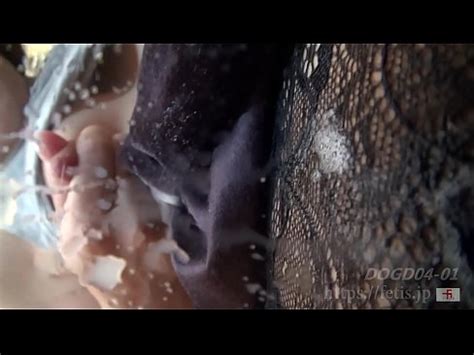 Perro Olfateando Leche Materna Mam Saliva Play Edition Xvideos Com