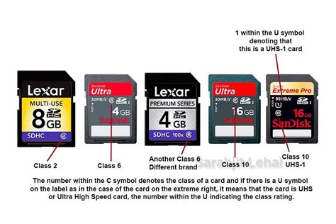 Sdhc Vs Sdxc Speed At Ronald Piper Blog
