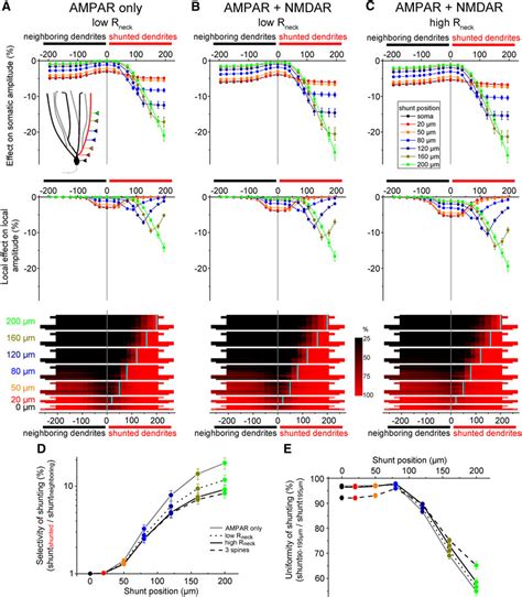 Shunting Of Individual Dendritic Branches By Spatially Restricted