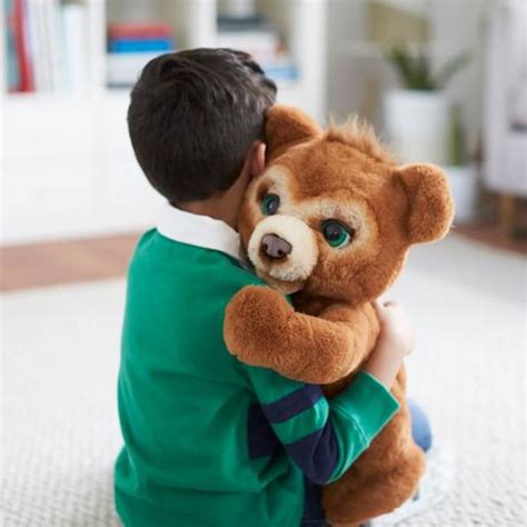 Hbe4591 Cubby Urso Curioso Copy