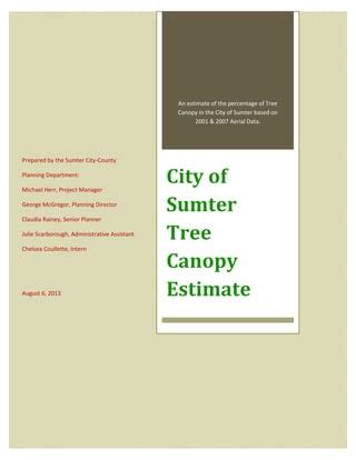 2007 Tree Canopy Analysis Final Version Rfs PDF Land And Farms Real Estate
